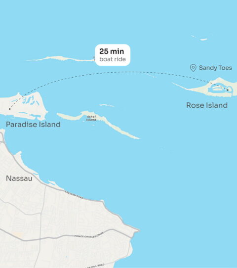 Swimming Pigs - Sandy Toes Bahamas